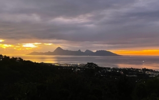 INDEO – Toutes les solutions réseaux